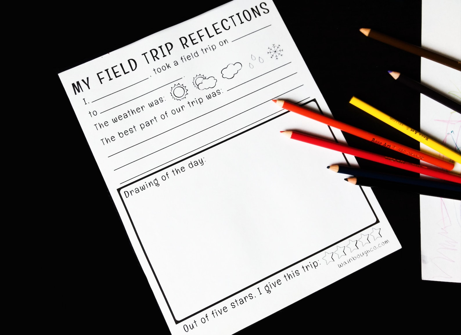 Field Trip Printable Reflections Activity Homeschool Teacher - Etsy