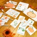 Pumpkin Themed Printable Activity Package, Life Cycle and Anatomy, Kids ...