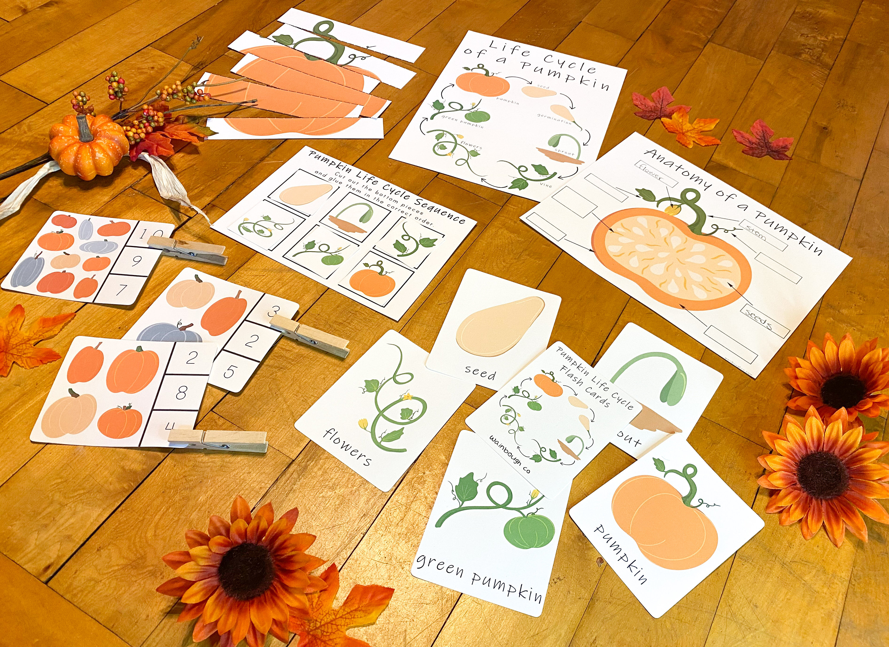 Pumpkin Themed Printable Activity Package Life Cycle and | Etsy