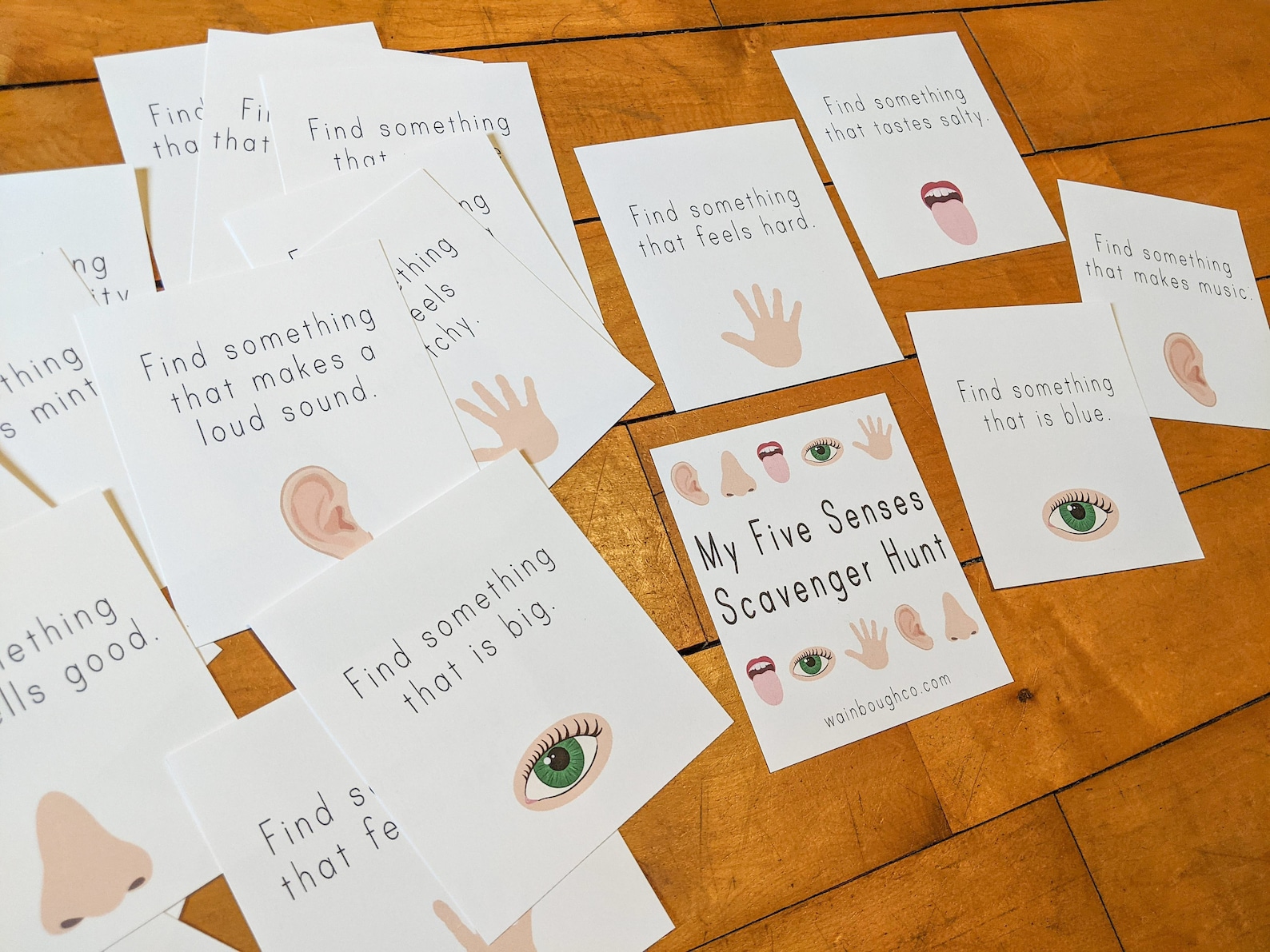 Five Senses Scavenger Hunt Cards, Printable Science Teaching Resources ...