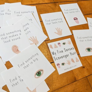 Five Senses Scavenger Hunt Cards, Printable Science Teaching Resources ...
