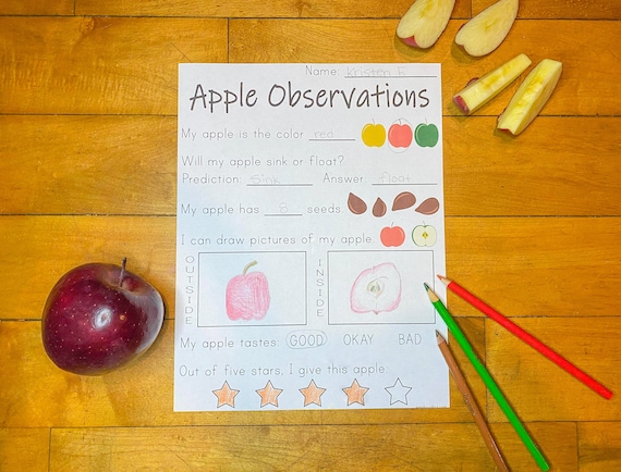 Apple Observations Printable Activity Preschool Science | Etsy