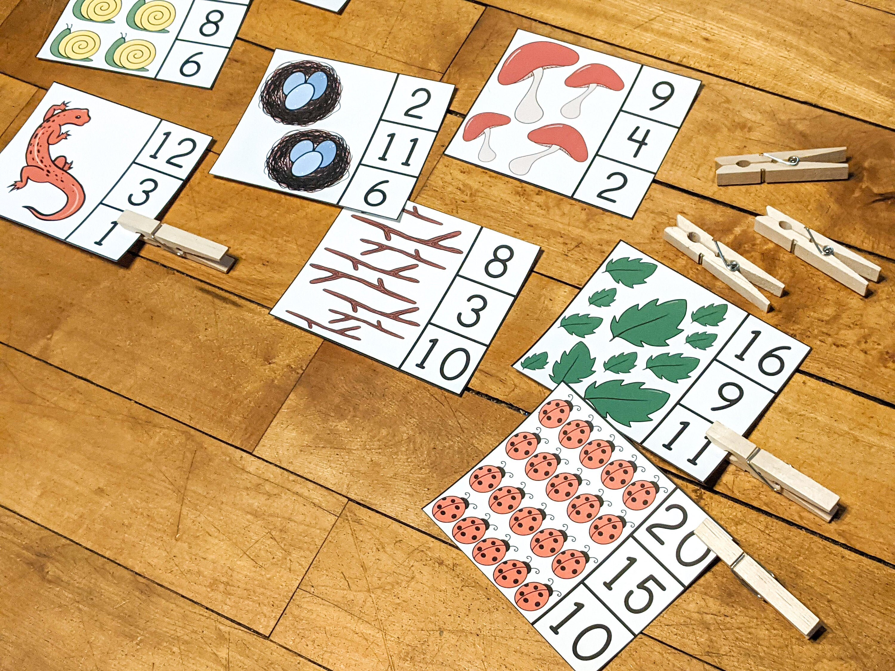 Nature Counting Printable Flash Card Game Clothespin Match | Etsy