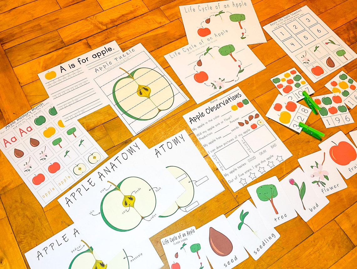 Apple Themed Printable Activity Package Life Cycle and - Etsy