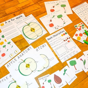 Apple Themed Printable Activity Package, Life Cycle and Anatomy, Kids ...