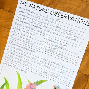 Nature Observations Journal Activity, Printable Teaching Resources ...