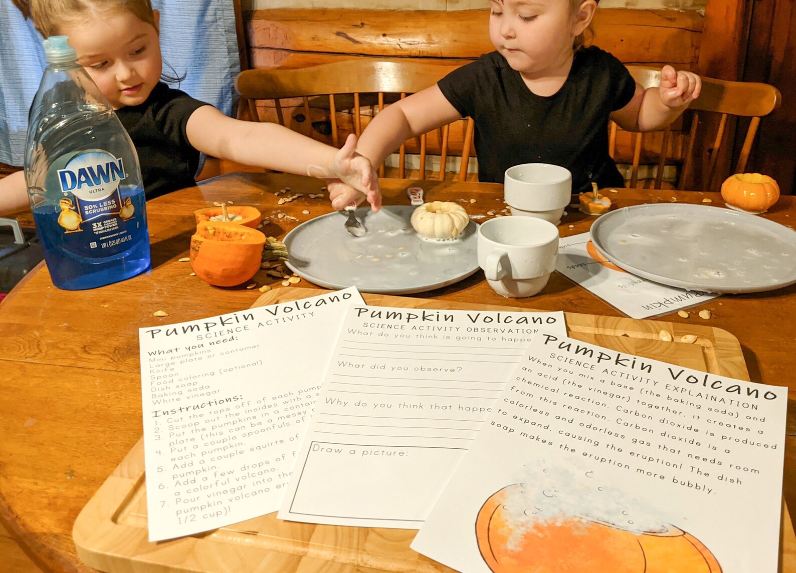Pumpkin Volcano Science Activity, Printable Fall Homeschool, Autumn ...
