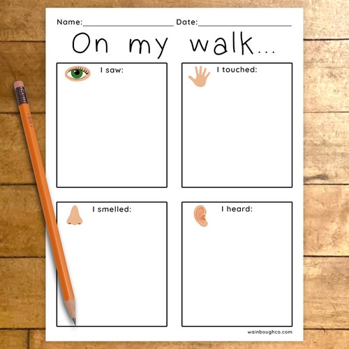 Nature Observations Journal Activity Printable Teaching - Etsy