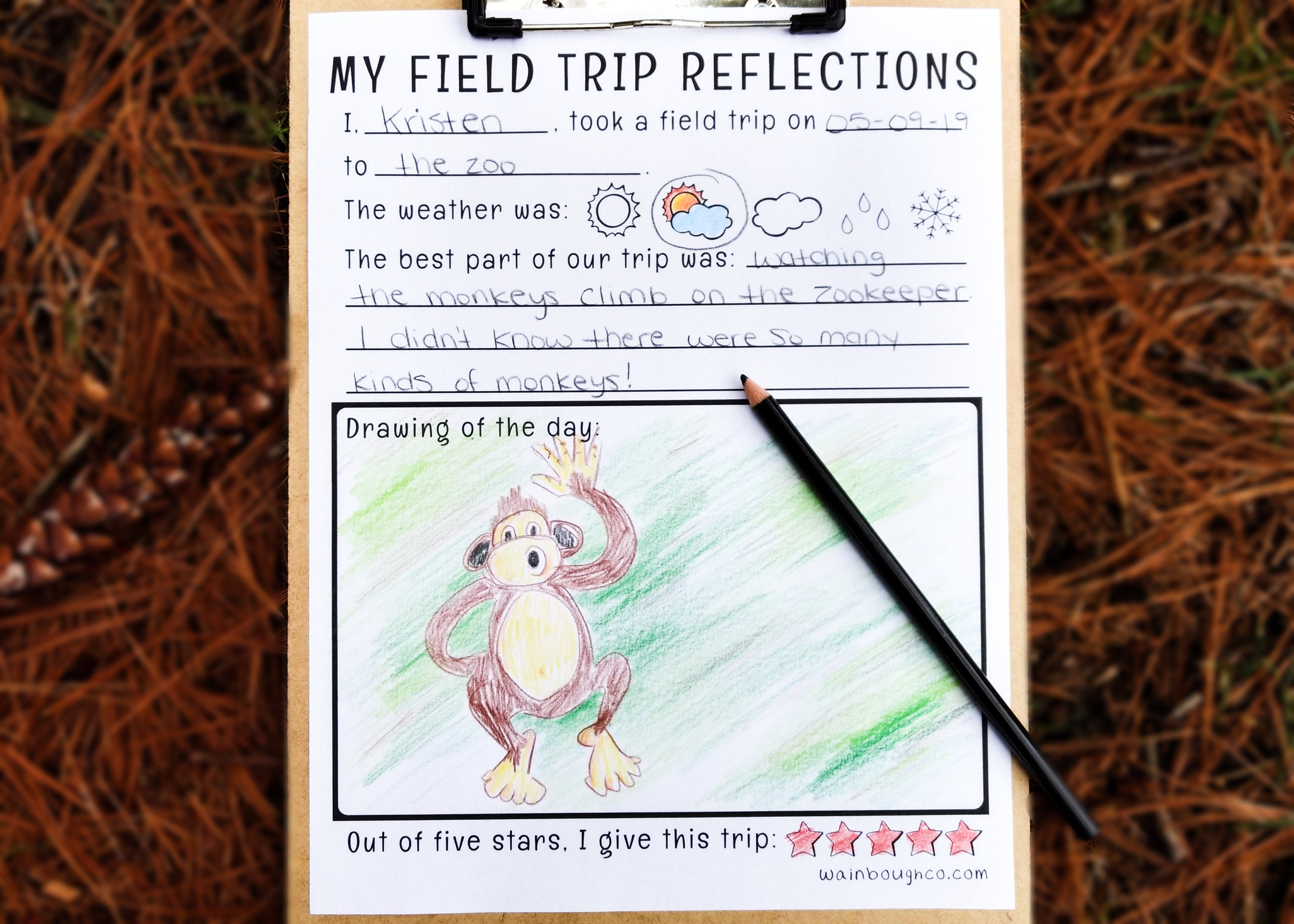 Field Trip Printable Reflections Activity Homeschool Teacher - Etsy Canada
