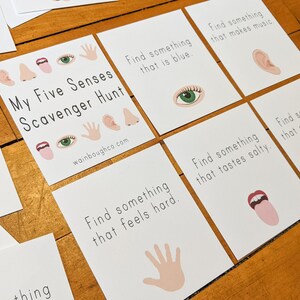 Five Senses Scavenger Hunt Cards, Printable Science Teaching Resources ...