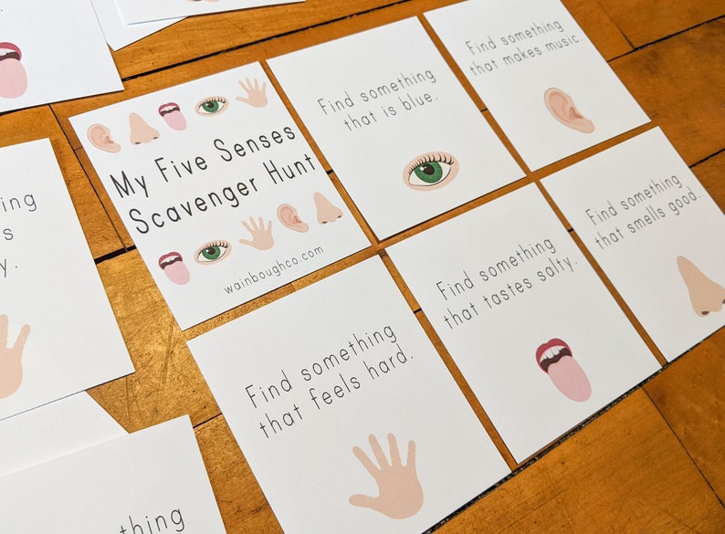 Five Senses Scavenger Hunt Cards Printable Science Teaching - Etsy