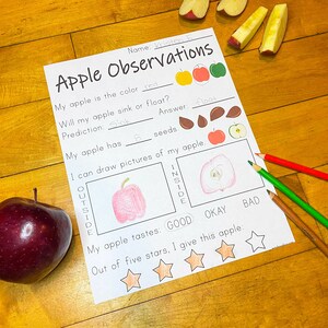 Apple Observations Printable Activity, Preschool Science Lesson ...