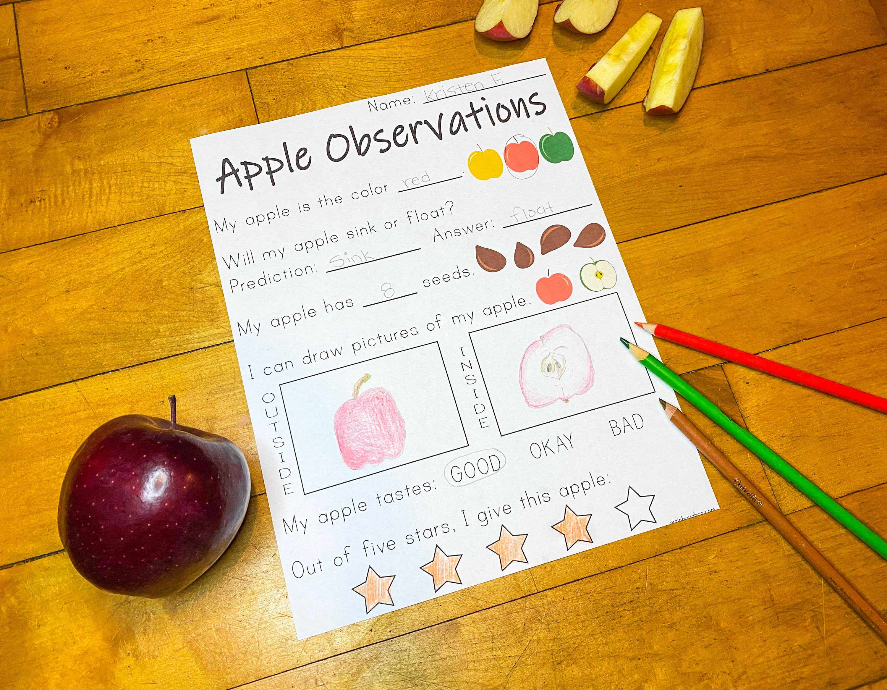 Apple Observations Printable Activity, Preschool Science Lesson ...