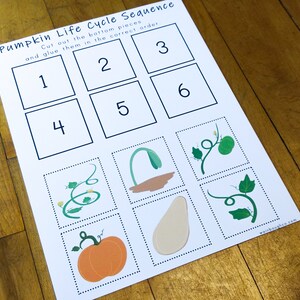 Pumpkin Life Cycle Flash Cards, Printable Sequence Activity ...