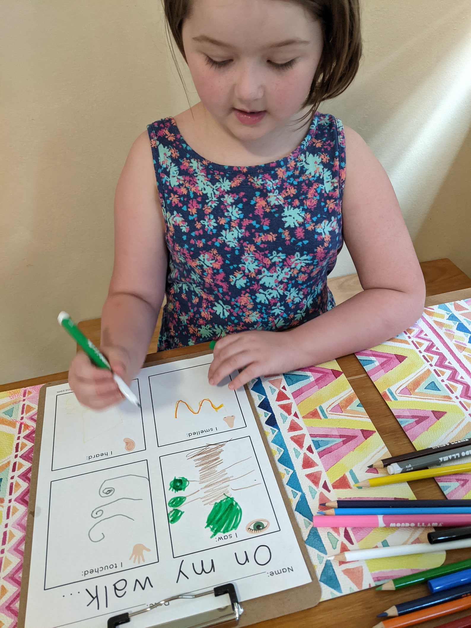 Nature Observations Journal Activity Printable Teaching - Etsy