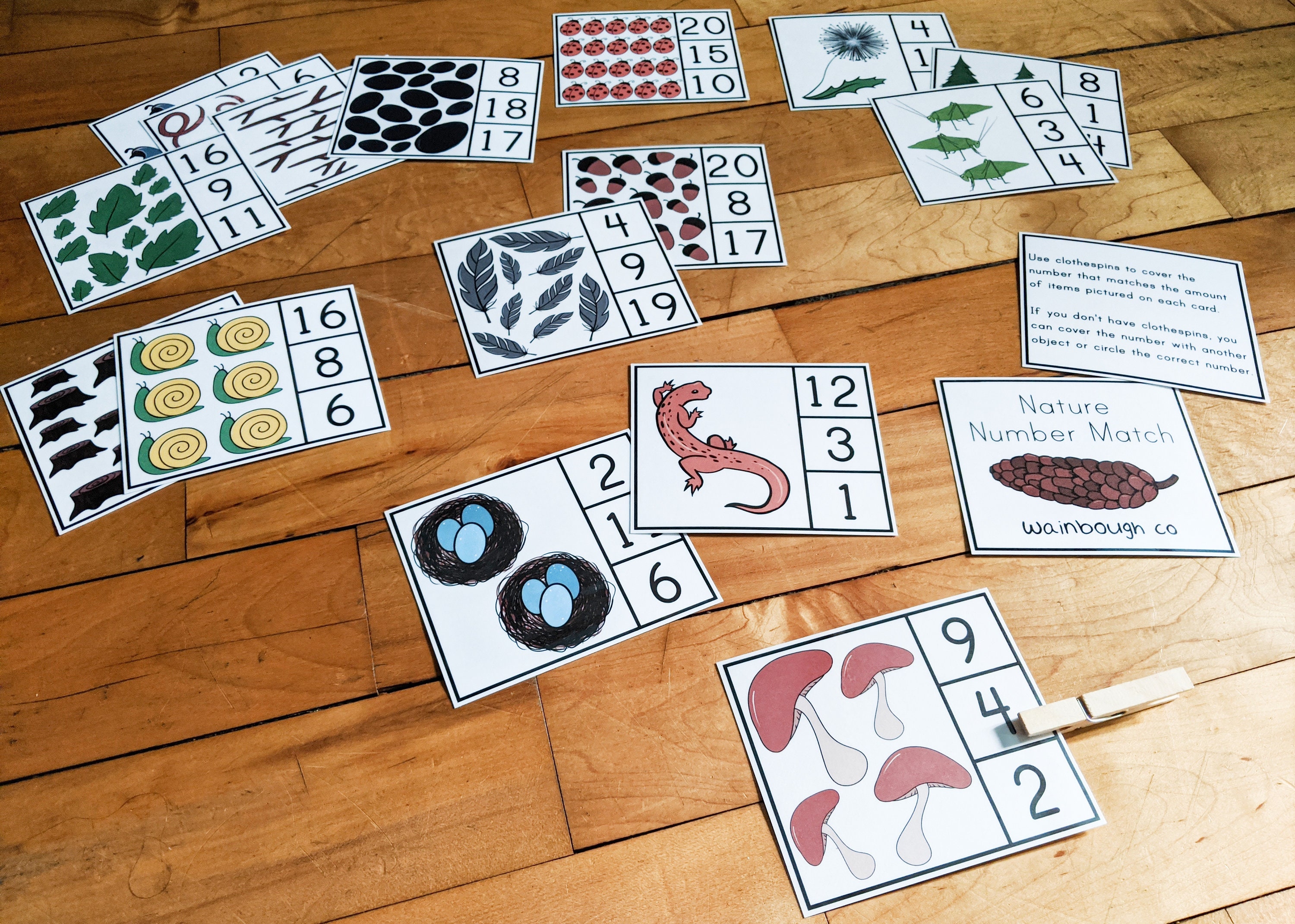 Nature Counting Printable Flash Card Game Clothespin Match - Etsy