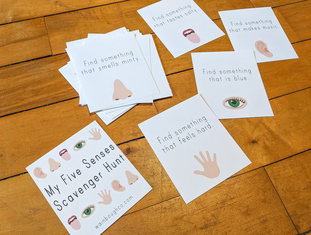 Five Senses Scavenger Hunt Cards, Printable Science Teaching Resources ...