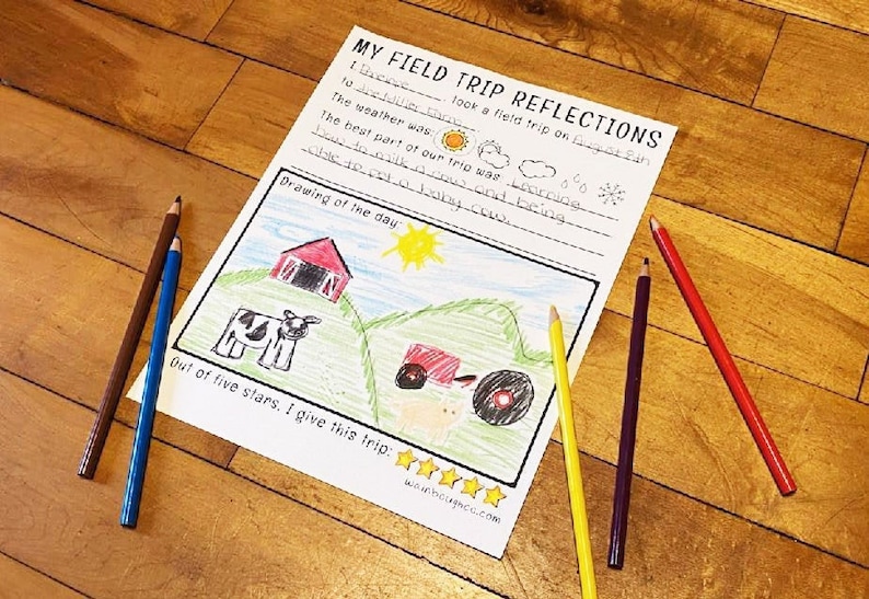 Field Trip Printable Reflections Activity Homeschool Teacher - Etsy Canada