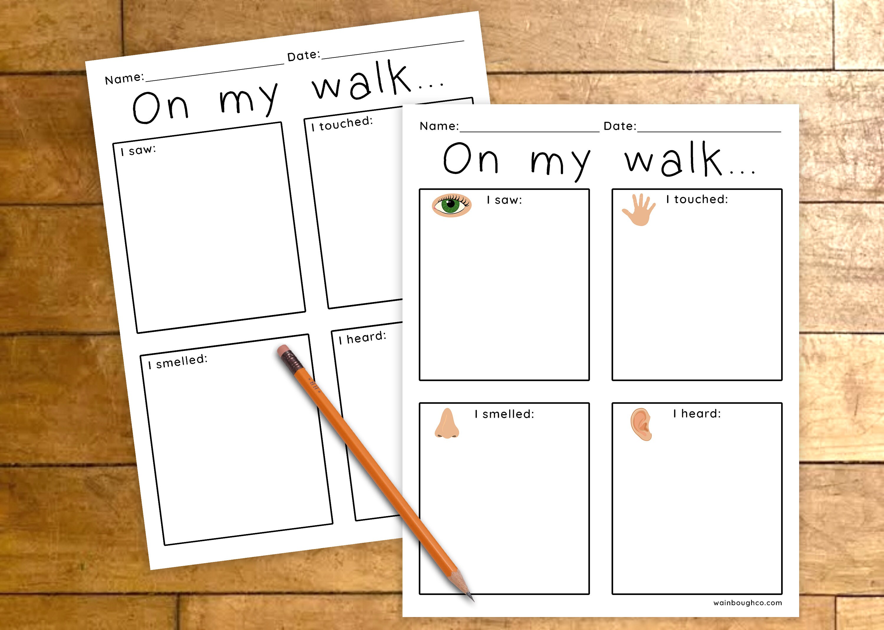 Nature Observations Journal Activity Printable Teaching - Etsy