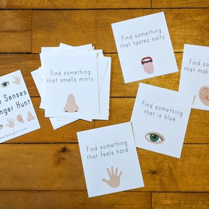 Five Senses Scavenger Hunt Cards, Printable Science Teaching Resources ...