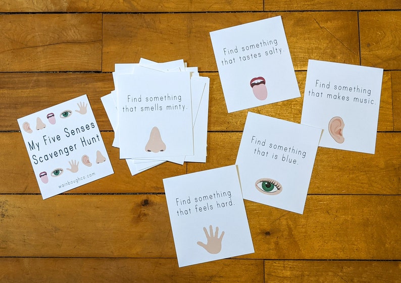 Five Senses Scavenger Hunt Cards Printable Science Teaching - Etsy