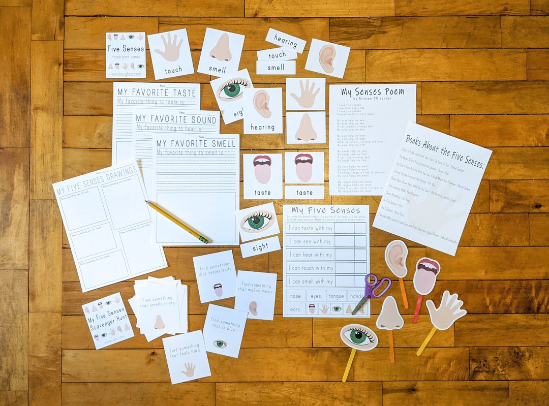Five Senses Printable Activity Package, Senses Unit Study, Kids ...
