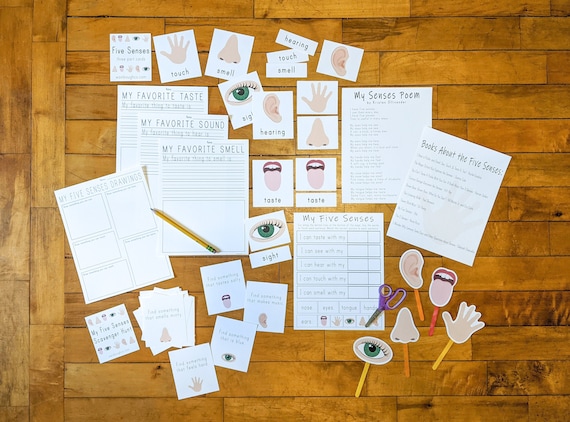 Five Senses Printable Activity Package Senses Unit Study | Etsy