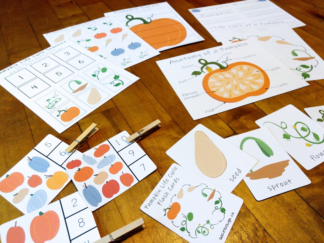 Pumpkin Themed Printable Activity Package, Life Cycle and Anatomy, Kids ...
