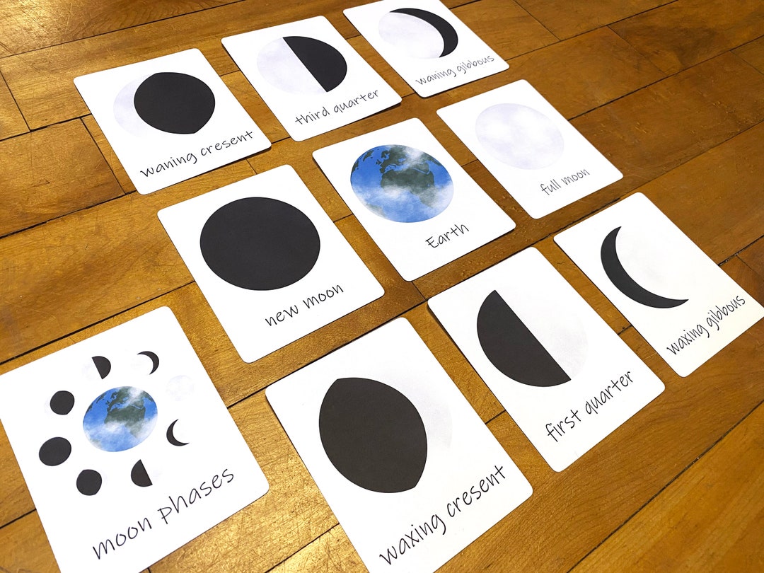 Moon Phases Flash Cards, Printable Astronomy Learning Activity, Kids ...