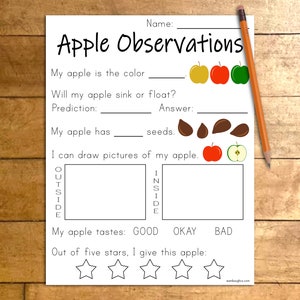 Apple Observations Printable Activity, Preschool Science Lesson ...