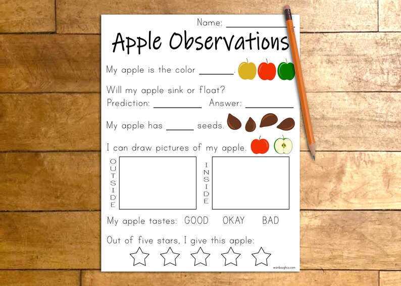 Apple Observations Printable Activity Preschool Science | Etsy
