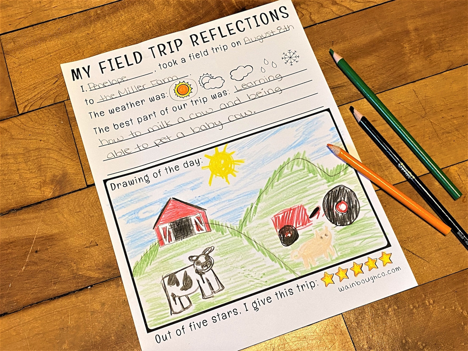 Field Trip Printable Reflections Activity Homeschool Teacher | Etsy