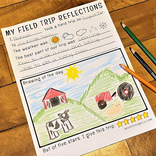 Daily Printable Reflections Activity Homeschool Teacher - Etsy