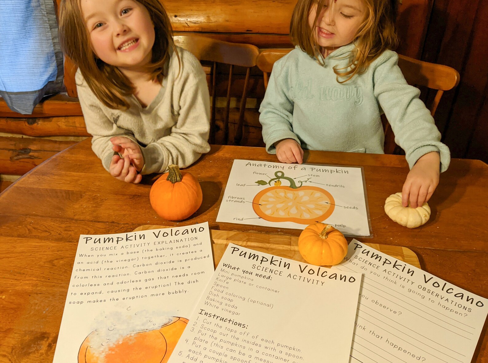 Pumpkin Volcano Science Activity, Printable Fall Homeschool, Autumn ...