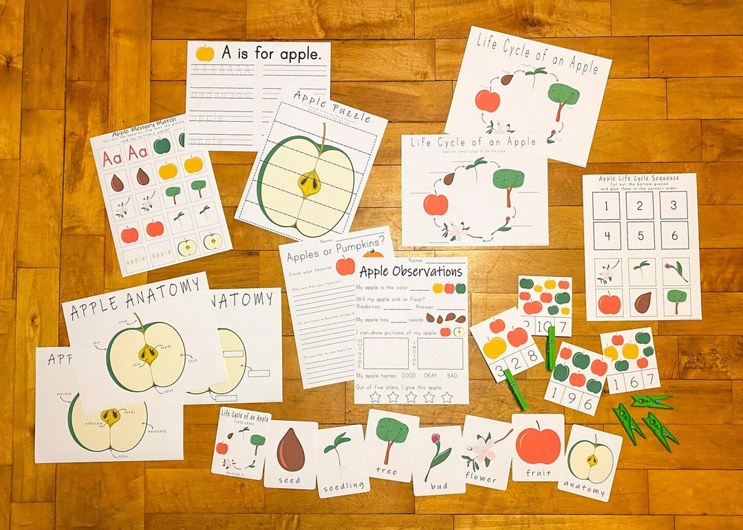 Apple Themed Printable Activity Package, Life Cycle and Anatomy, Kids ...