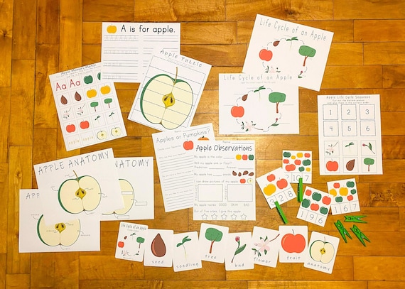 Apple Themed Printable Activity Package Life Cycle and | Etsy
