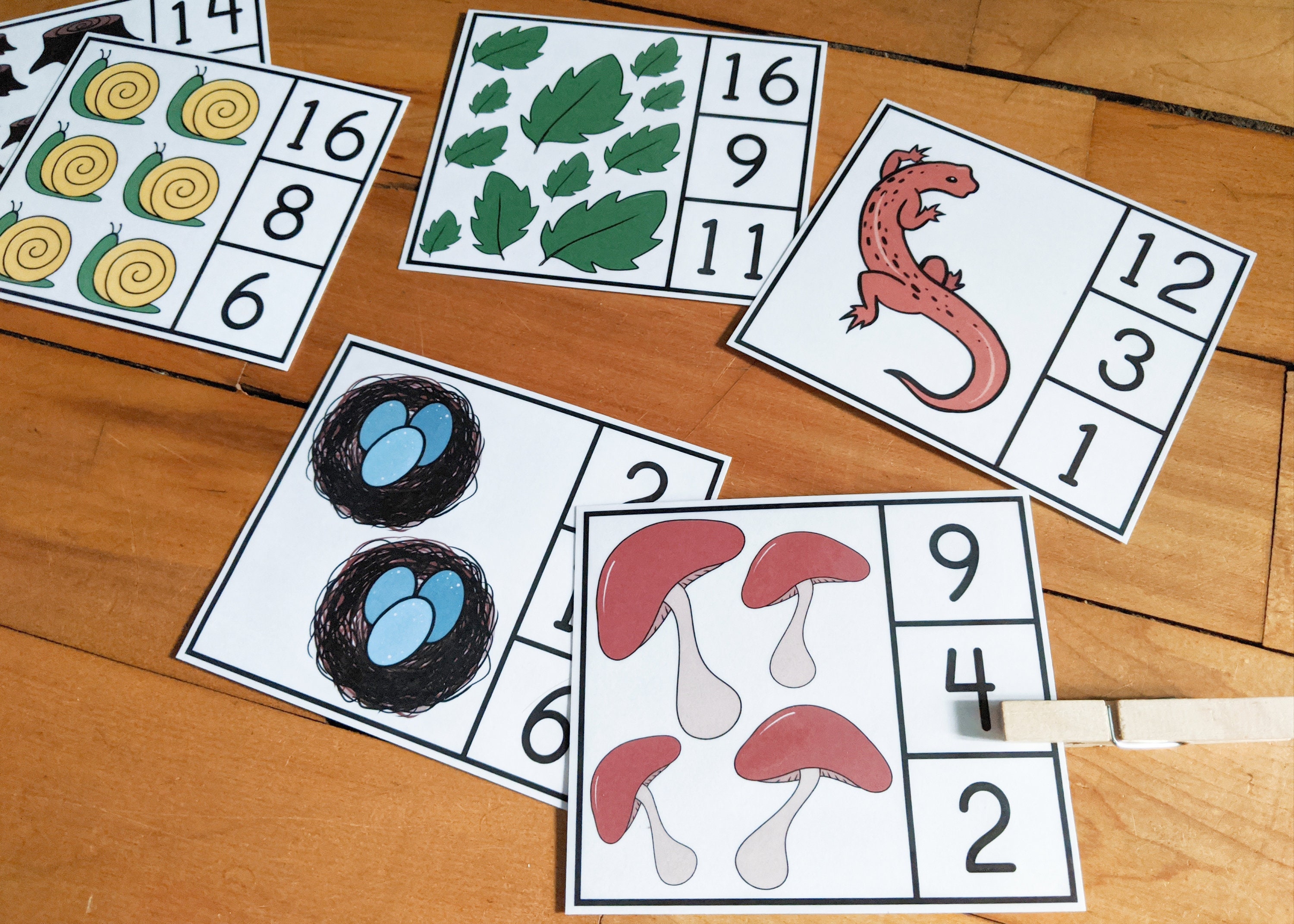 Nature Counting Printable Flash Card Game Clothespin Match | Etsy