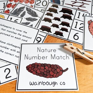 Nature Counting Printable Flash Card Game, Clothespin Match Activity ...