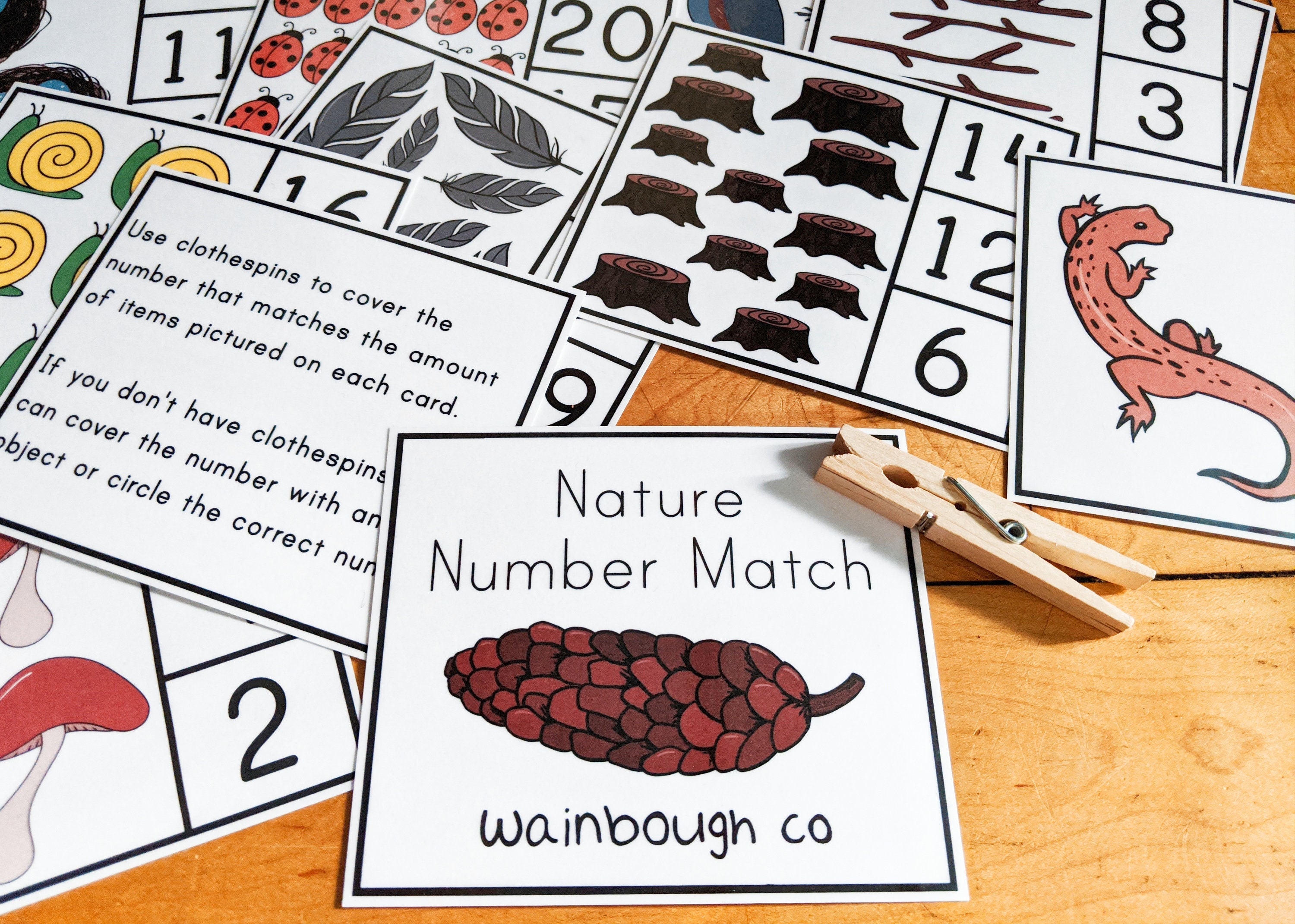 Nature Counting Printable Flash Card Game Clothespin Match | Etsy