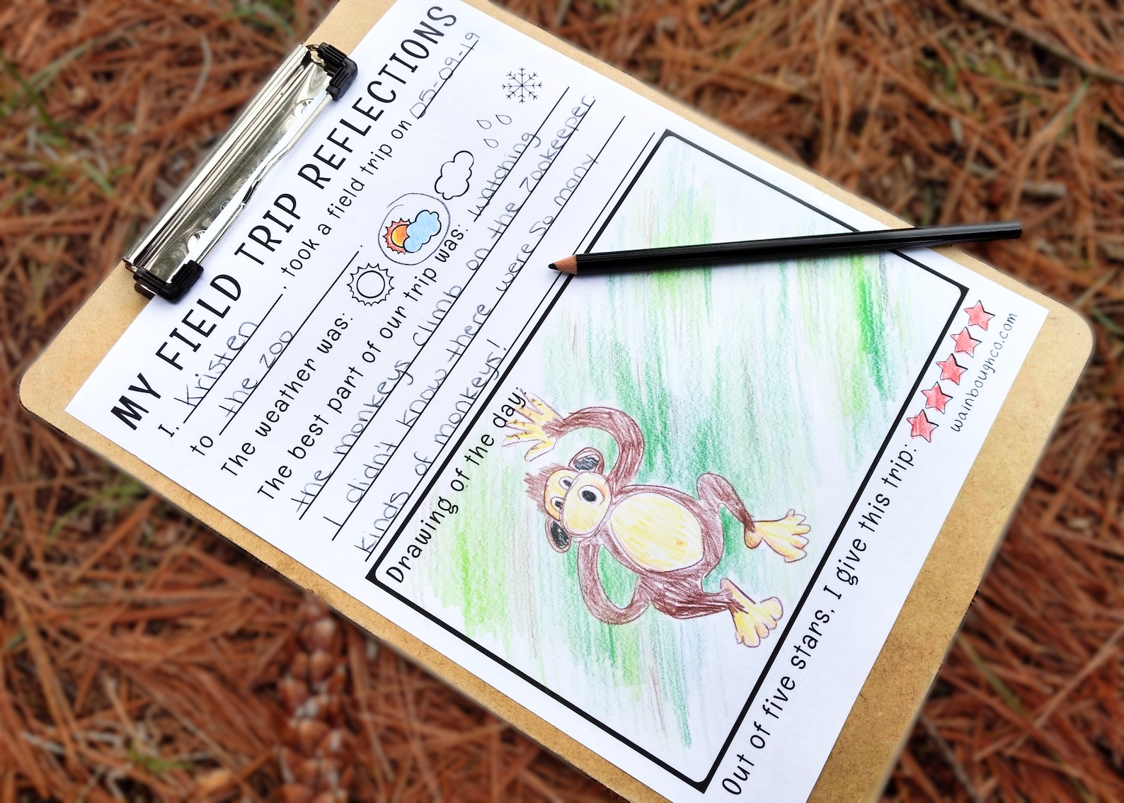 Field Trip Printable Reflections Activity Homeschool Teacher - Etsy Canada