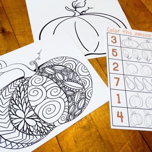 Pumpkin Themed Printable Activity Package, Life Cycle and Anatomy, Kids ...