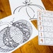 Pumpkin Themed Printable Activity Package, Life Cycle and Anatomy, Kids ...