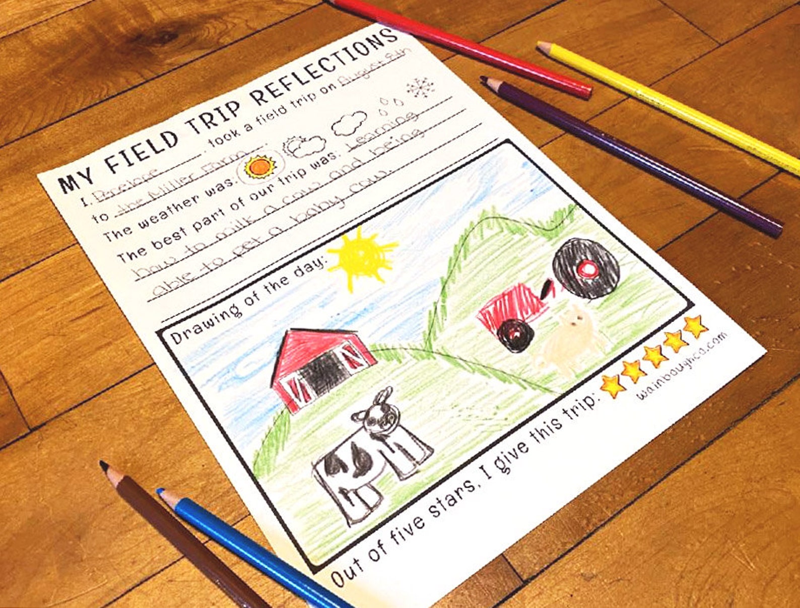 Field Trip Printable Reflections Activity Homeschool Teacher - Etsy Canada