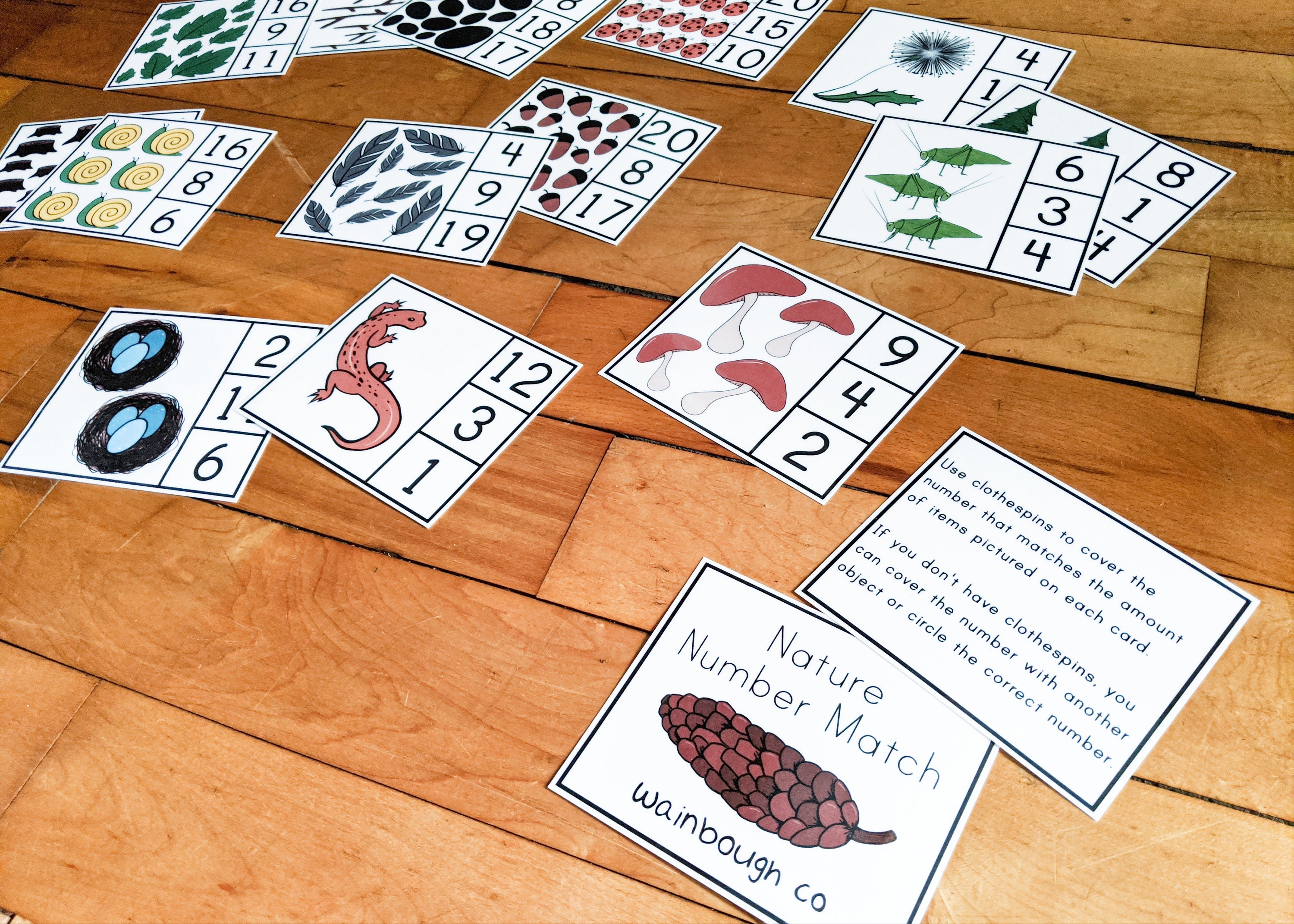 Nature Counting Printable Flash Card Game Clothespin Match - Etsy