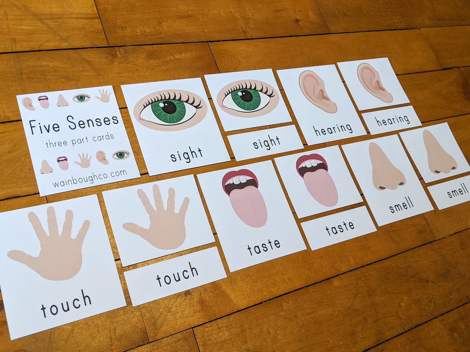 Five Senses Printable Activity Package Senses Unit Study | Etsy