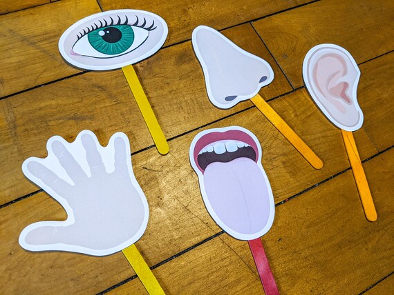 Five Senses Activities Crafts