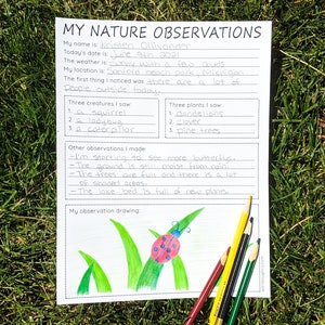 Nature Observations Journal Activity, Printable Teaching Resources ...