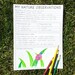 Nature Observations Journal Activity Printable Teaching - Etsy