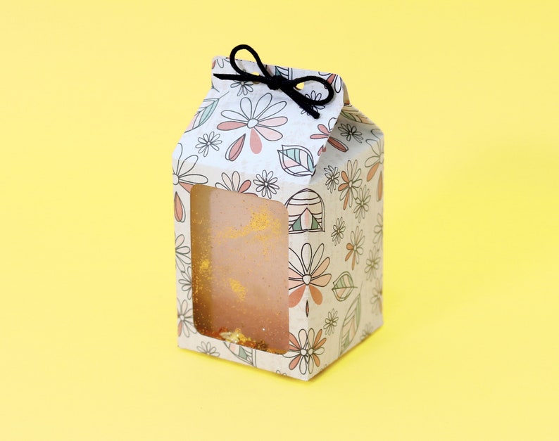 Milk Box Pack 3D Project for Papercraft Milk Box Cutting - Etsy