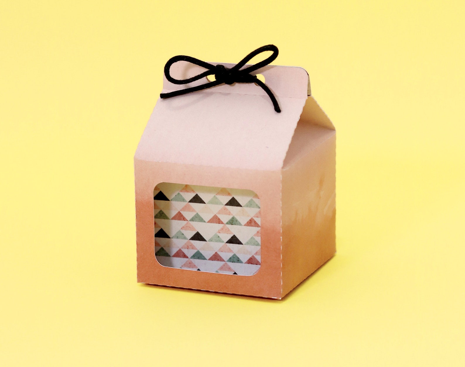 Milk Box Pack 3D Project for Papercraft Milk Box Cutting - Etsy